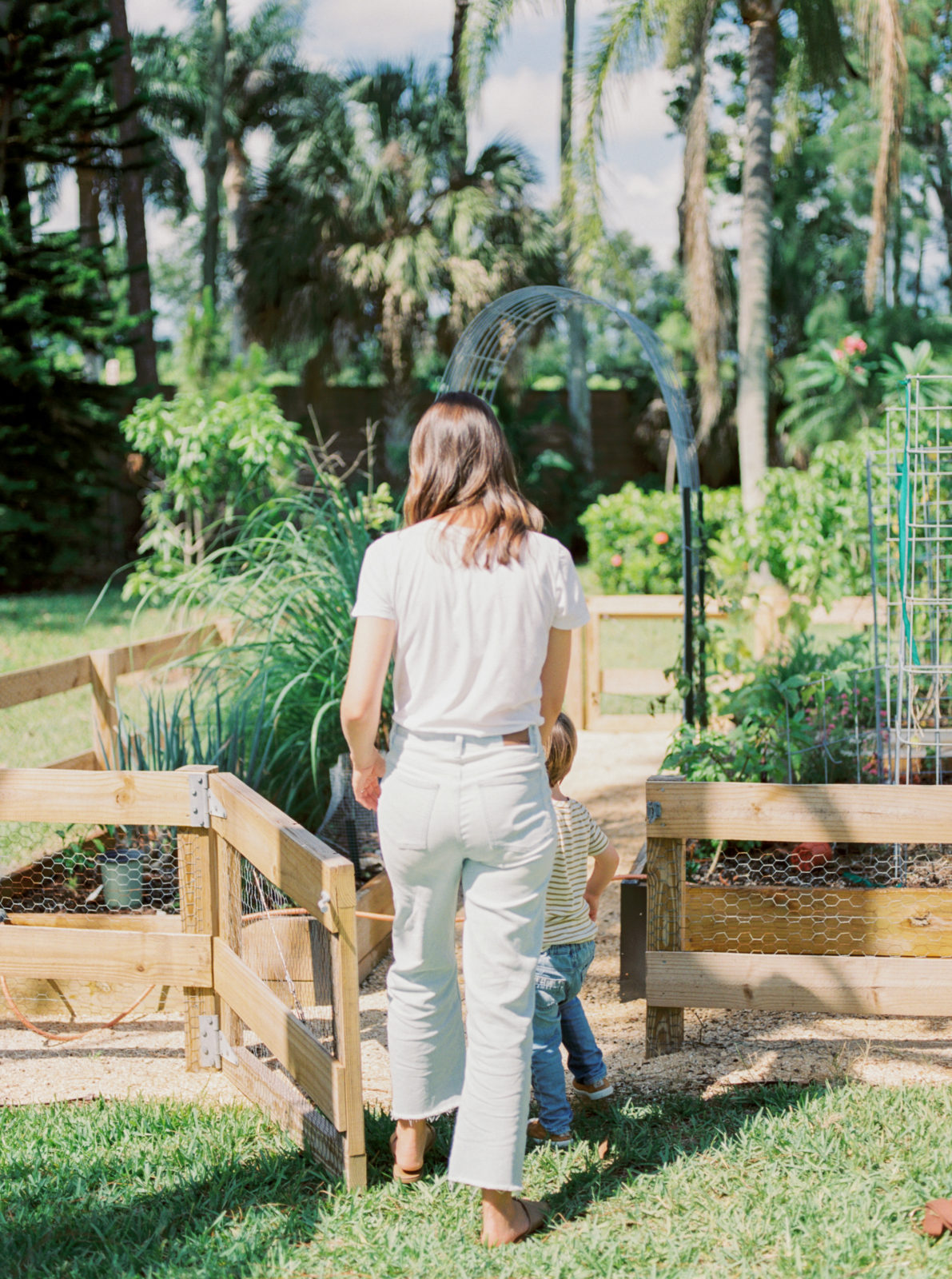 Photographing In Full Sun : Rooted Love Photography