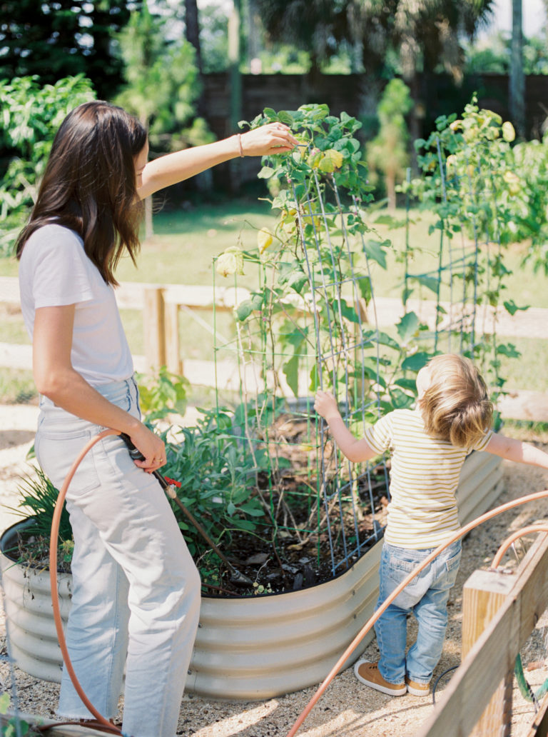 Photographing In Full Sun : Rooted Love Photography