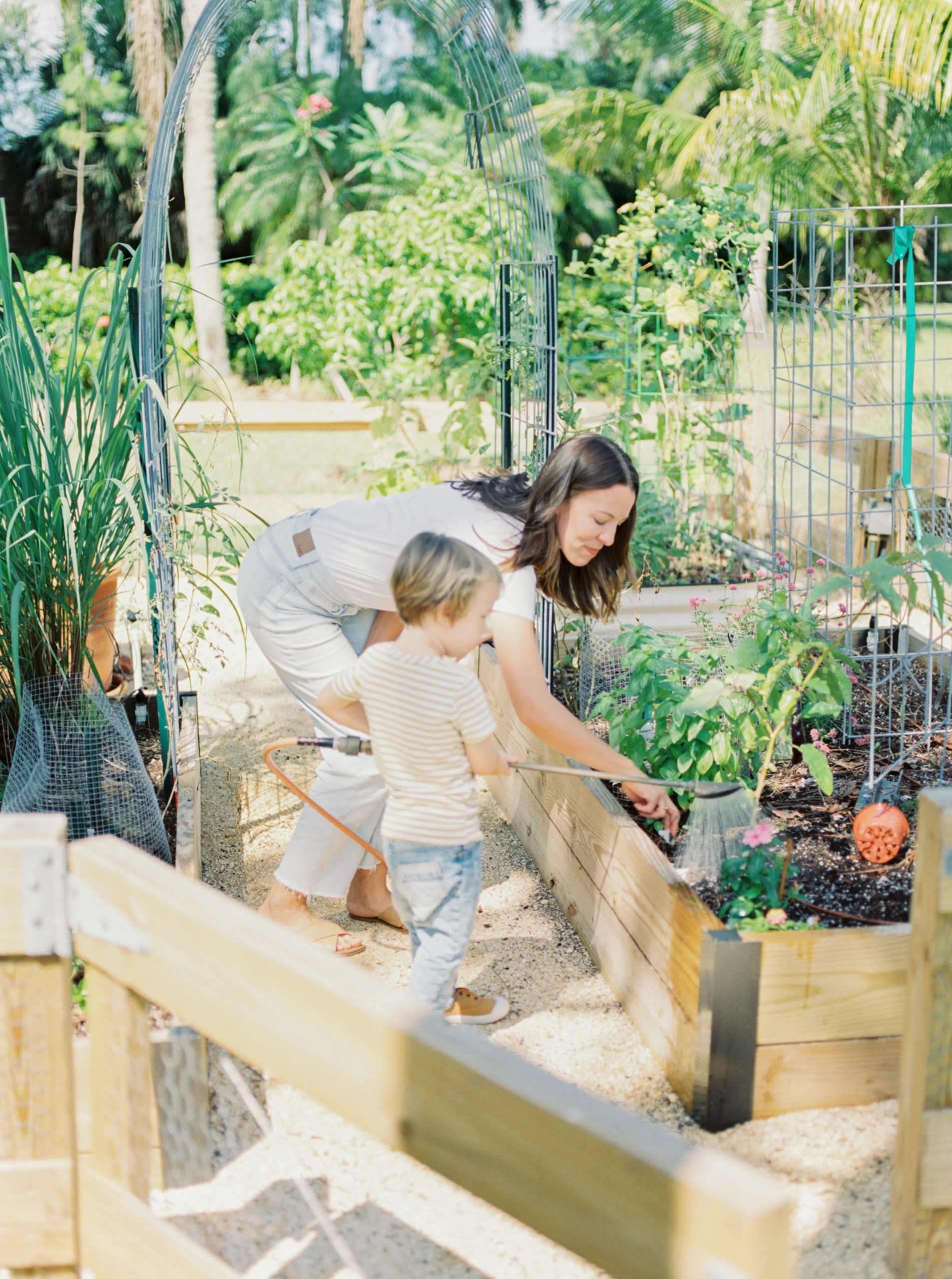 Photographing In Full Sun : Rooted Love Photography