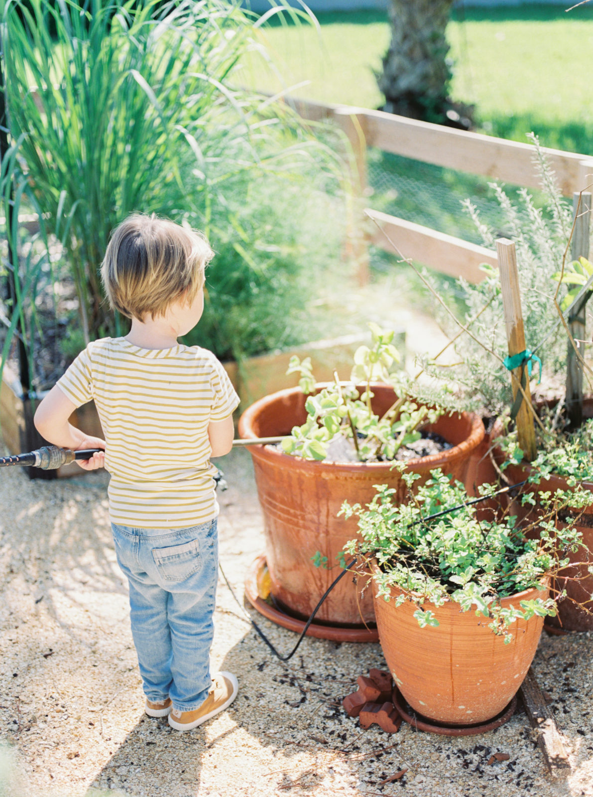 Photographing In Full Sun : Rooted Love Photography