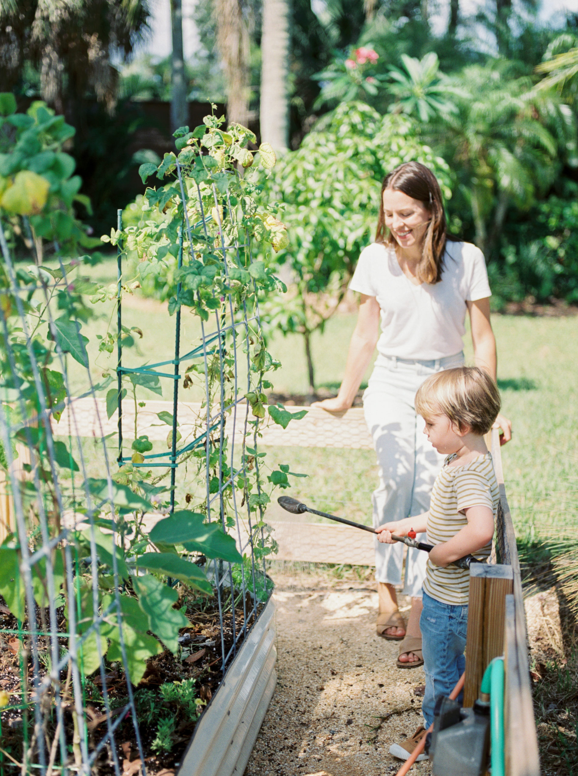 Photographing In Full Sun : Rooted Love Photography